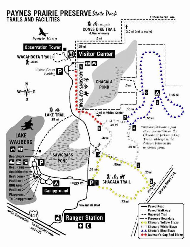 Chacala Trail in Paynes Prairie State Preserve - Member Hike | YourHikes