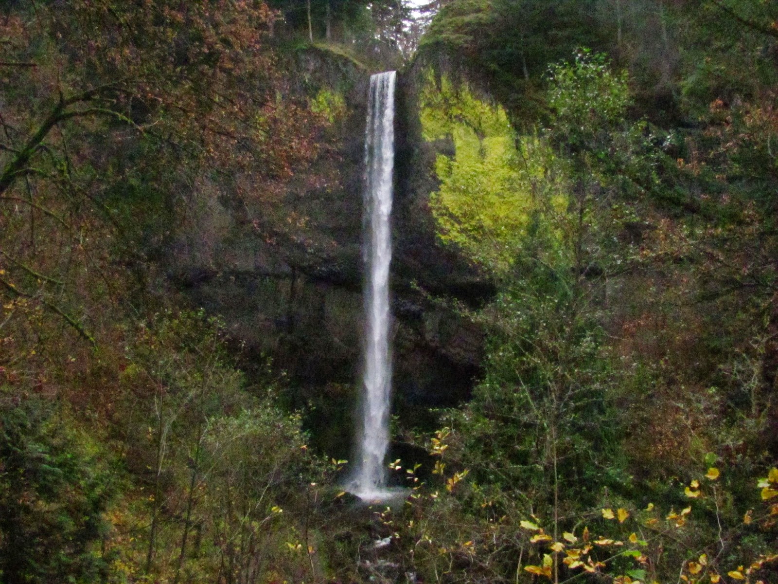 Latourell Falls Loop Trail - Member Hike | YourHikes