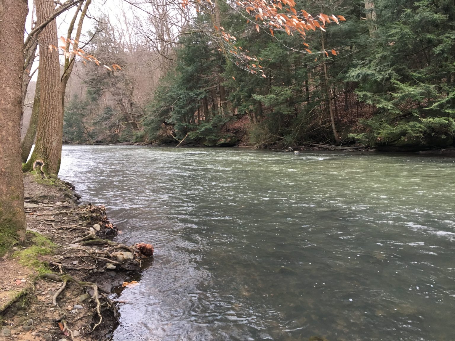 Lyons Falls at Mohican State Park - Member Hike | YourHikes